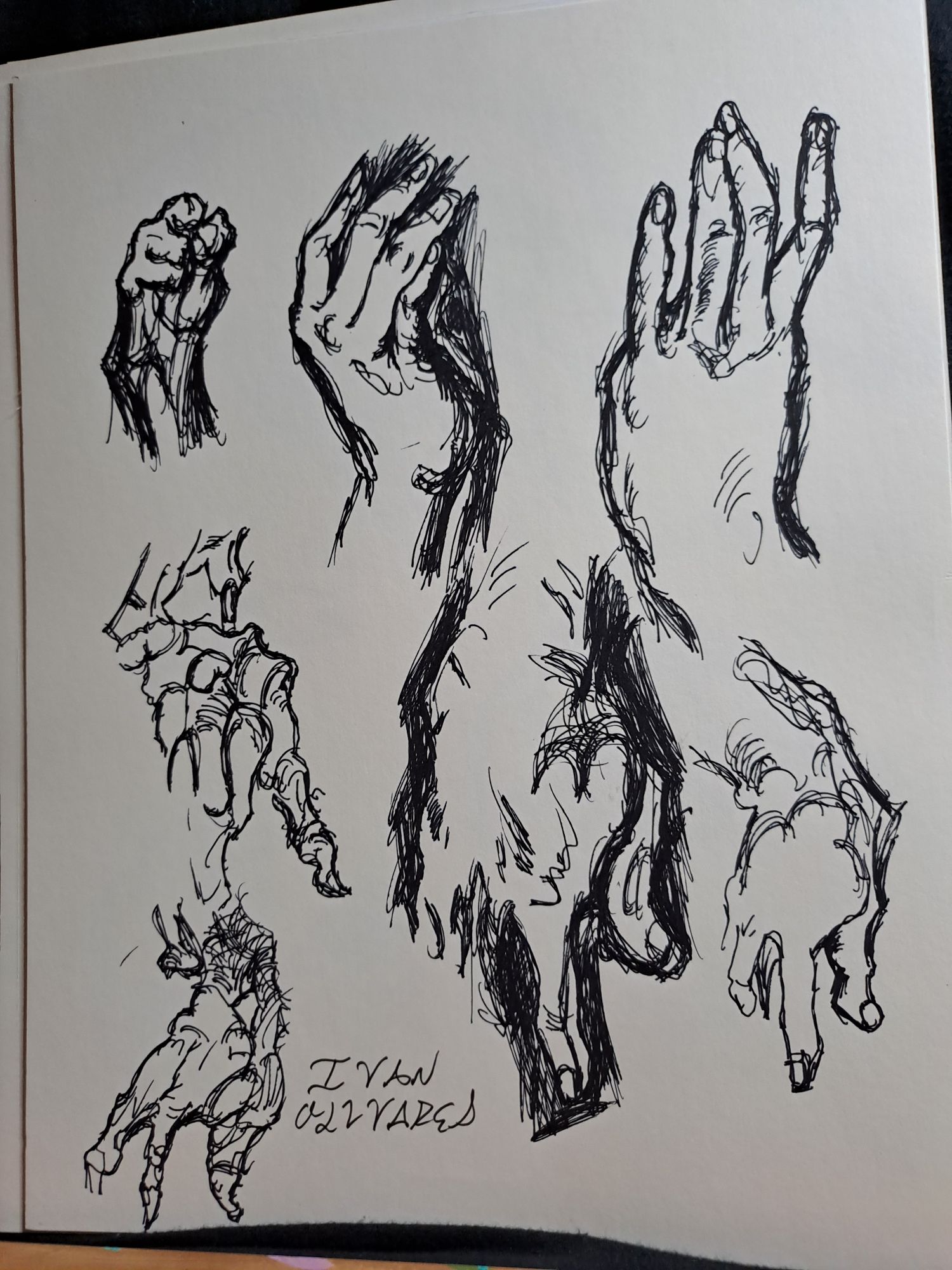 Hand 14 – Ivan Olivares